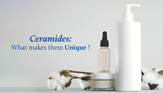 Ceramides vs. Other Moisturizing Ingredients: What Sets Them Apart ...