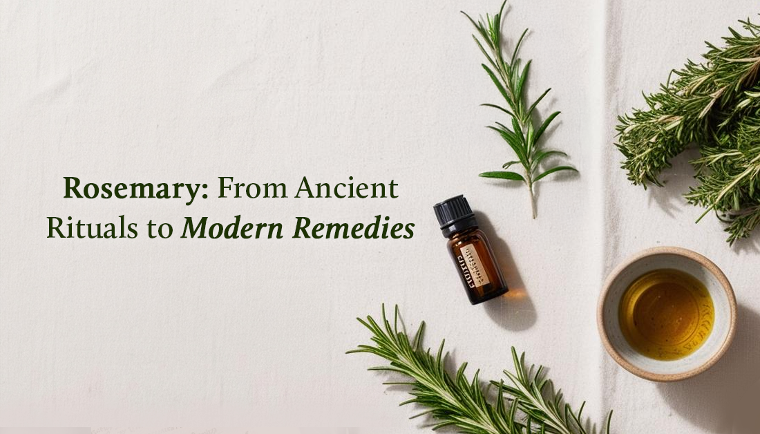 Rosemary Uses: Ancient Rituals to Modern Remedies – Blue Nectar